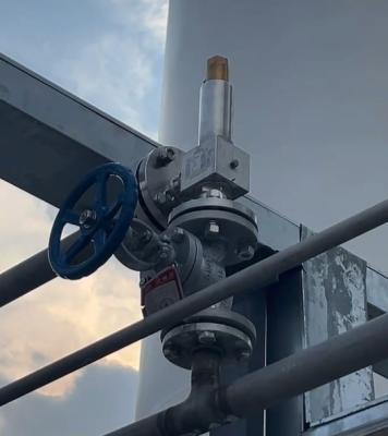 China Industriële veiligheidskleppen voor maximale bescherming en prestaties Te koop