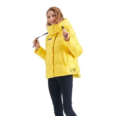 China FODARLLOY 2022 new winter jackets women's coat long hooded cotton-padded clothes women for sale