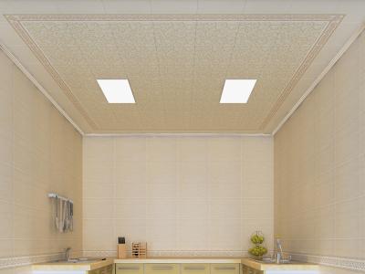 Cina umidità di alluminio Protectiong del pannello per soffitti di 300×450 millimetro per la decorazione interna in vendita