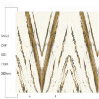 China High Hardness PVC Wall Cladding Glossy High Quality Wear Resistant Interior for sale
