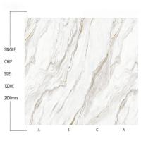China Fireproof PVC Wall Panel Waterproof Multi-Pattern Wear-Resistant Indoor Deco for sale