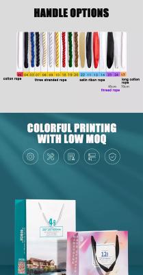 Cina Pantone colora la borsa del regalo di promozione di stampa offset dei sacchi di carta di Kraft della scarpa dell'abbigliamento in vendita