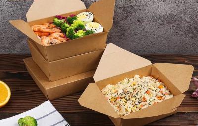 中国 2000ml生物分解性サンドイッチへの750mlはEcoの友好的で使い捨て可能な食品容器を囲む 販売のため