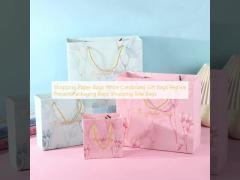 Kraft Handheld Shopping Paper Bags Glossy Brown Paper Shopping Bag