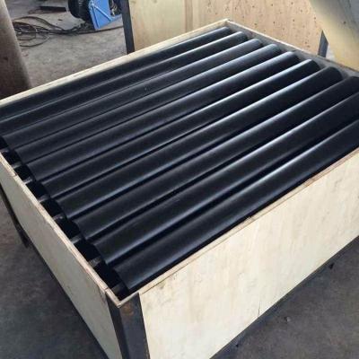 China ODM Double Row Self Aligning Conveyor Roller SS304 Vacuum Sealed for sale