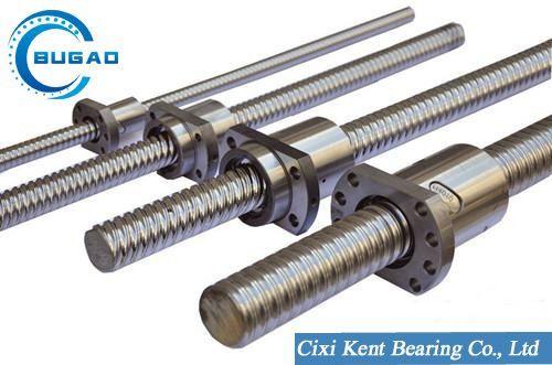 Universal High Precision Linear Guide Sfu-Standard Series (SFU1605 SFU2005 SFU2505 SFU2510 SFU3205 SFU3210 SFU4005 SFU4010)