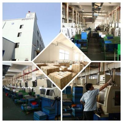 China Zv1 Noise Standard 99502h Special Bearing Series Deep Groove Ball Bearing for Electric Fan for sale