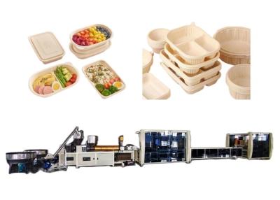 China Container Plastic Food Container Manufacturing Machine Takeaway Packaging 55kw for sale