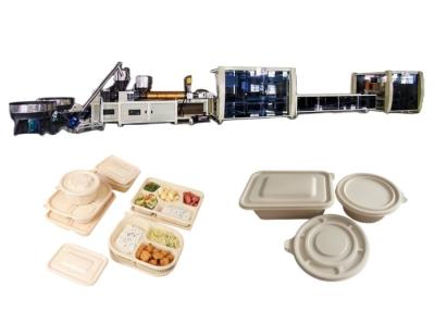 China Fast Food Take Away Box Making Machine Disposable Plastic Food Container Machine for sale