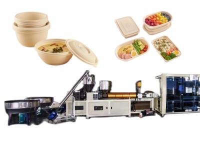 China High Speed Take Away Box Making Machine Fully Auto Eco Friendly for sale