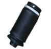 China air shock absorber Air Spring Rear Left and Right for GL-Class X164 for sale
