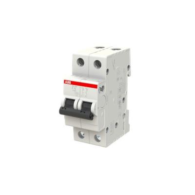 Cina Rated Voltage 220 220V MCB SH202-C10 Miniature Circuit Breaker 2P C Rated Current 10A in vendita