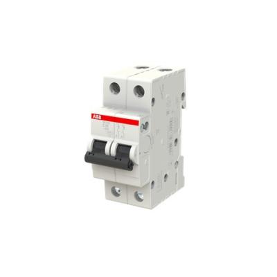 中国 MCB SH202-C20 Miniature Circuit Breaker 2P 20A for Stable Electrical Performance 販売のため