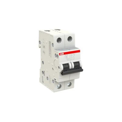 中国 MCB SH202-C20 Miniature Circuit Breaker 2P 20A for Stable Electrical Performance 販売のため