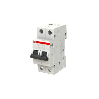 Cina High Breaking Capacity MCB SH202-C25 Miniature Circuit Breaker 2P C 25 A with C Curve in vendita