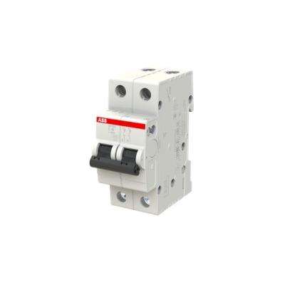 中国 MCB SH202-C40 Miniature Circuit Breaker 2P C 40A Rated Frequency 50Hz Breaking Capacity 販売のため