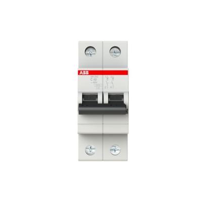 中国 MCB SH202-C40 Miniature Circuit Breaker 2P C 40A Rated Frequency 50Hz Breaking Capacity 販売のため