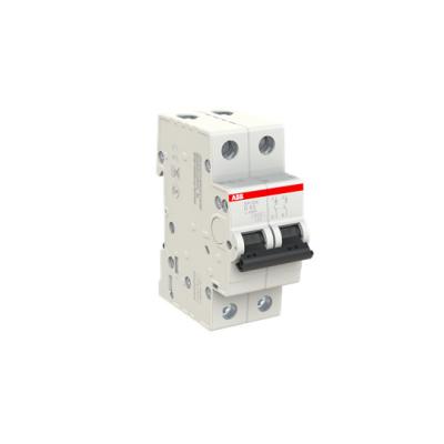 中国 MCB SH202-C63 Miniature Circuit Breaker 2P C Rated Frequency Hz 50 Rated Current 63A 販売のため
