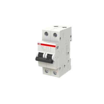 Cina MCB SH202-C63 Miniature Circuit Breaker 2P C Rated Frequency Hz 50 Rated Current 63A in vendita