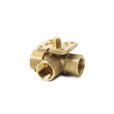 Cina PLC BPZ VBI61.15-4 con connessione a filo interno in vendita