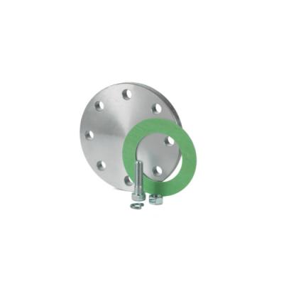 Cina DN80 Solenoid Valve B Port Blind Plate Compatible with PLC BPZ Z155/80 Blanking Flange in vendita