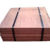 China Factory Pure Electrolytic Copper Cathodes Direct Supply/Cathode Scrap Electrolytic Copper Cathode for sale