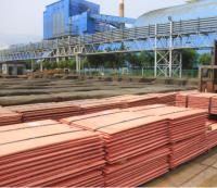 China Factory Pure Electrolytic Copper Cathodes Direct Supply/Cathode Scrap Electrolytic Copper Cathode for sale