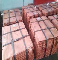 China Factory Pure Electrolytic Copper Cathodes Direct Supply/Cathode Scrap Electrolytic Copper Cathode for sale