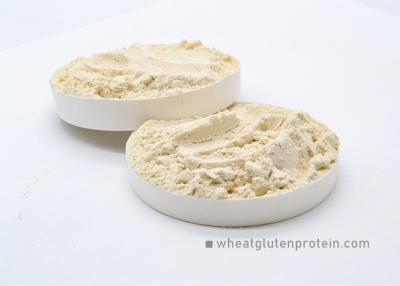 Cina Polvere vitale del glutine di grano per gli alimenti bollenti, alimenti della pasta, alimenti della salsiccia ecc in vendita