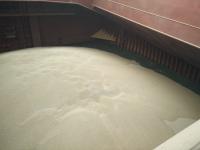 China Salmon Gluten Feed Pellets for sale