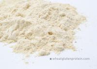 China 82.2% Wheat Gluten Protein for sale
