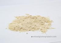 China 83% Vital Wheat Gluten Flour for sale