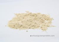 China 75.0% Wheat Gluten Protein for sale
