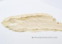 China Noodle Processing 82.5% Wheat Protein Gluten for sale
