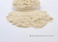 China Noodle Processing 82.5% Wheat Protein Gluten for sale