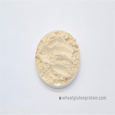 Cina Prolunghi il tempo invecchiante CAS 8002-80-0 Vital Wheat Gluten del pane in vendita