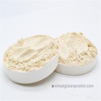 China Noodles Bread Ham 75% Wheat Gluten Protein for sale