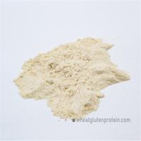 China Noodles Bread Ham 75% Wheat Gluten Protein for sale