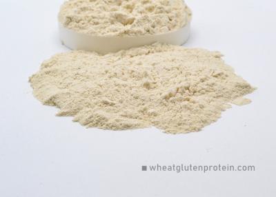 Cina Gli hamburger interpongono la polvere HALAL organica della proteina del glutine in vendita