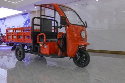 Cina Triciclo elettrico a 3 ruote con tettuccio per trasporto merci Triciclo elettrico per trasporto raccolto in vendita