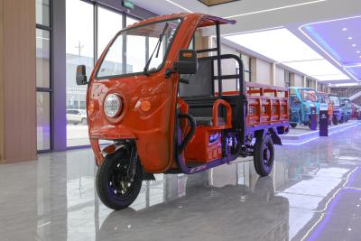 Cina Camionetto a tre ruote a passeggeri a motore in vendita
