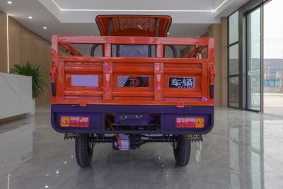 Cina Camionetto a tre ruote a passeggeri a motore in vendita