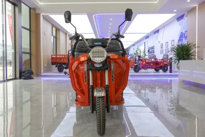 Cina 50KM/H 800w passeggeri 2 posti triciclo elettrico per adulti in vendita