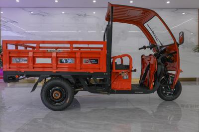 China Triciclo elettrico per passeggeri a 2 posti per adulti, 50KM/H for sale