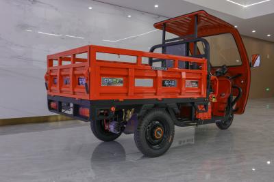 Cina Camionetto a tre ruote a passeggeri a motore in vendita