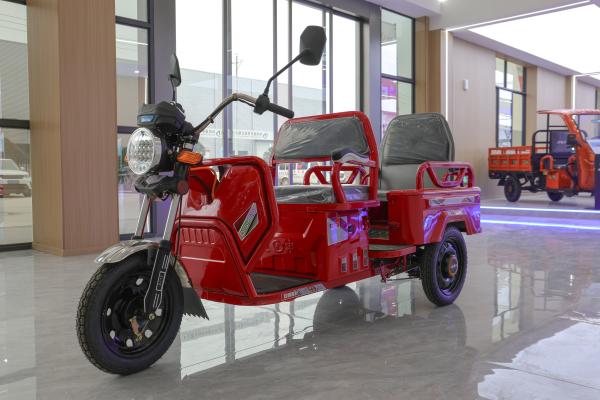 Quality 800w Passenger Electric Tricycle With Back Seat Foldable Safety Guardrail for sale