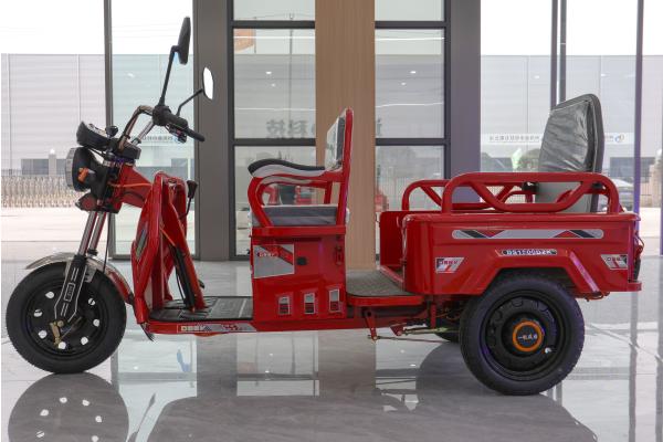 Quality 800w Passenger Electric Tricycle With Back Seat Foldable Safety Guardrail for sale