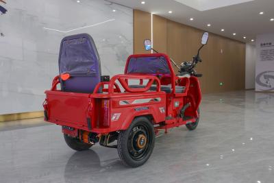 Cina Triciclo elettrico passeggeri da 800w con seggiolino di sicurezza pieghevole in vendita