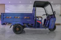 China Three Wheeled Vehicle Mini Dumper Cargo for sale