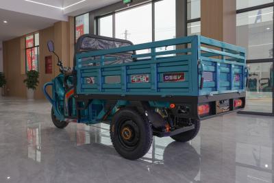 Cina Motociclo elettrico passeggeri a 3 ruote Tuk Tuk 800W 30-50Km/H in vendita